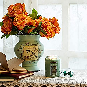 Decorlife 22 oz Scented Candles, Large Balsam & Cedar Christmas Candles with 2 Wicks, Strong Smelling and 110 Hours Long Lasting Time, 2-Pack