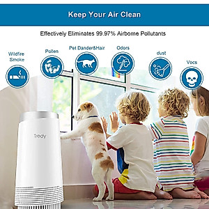 Tredy Air Purifier for Home Large Room with H13 True Hepa Filter, Removes Dust/Smoke/Odor/Pollen/Pet Dander and Other Particles