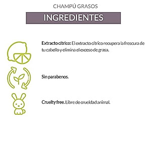 ALEA - Anti-Grease Shampoo - Greasy Hair Shampoo - 500 ml - with Lime Extract - Controls Excess Grease in Hair - Healthy Scalp - Soft Hair - Paraben-Free