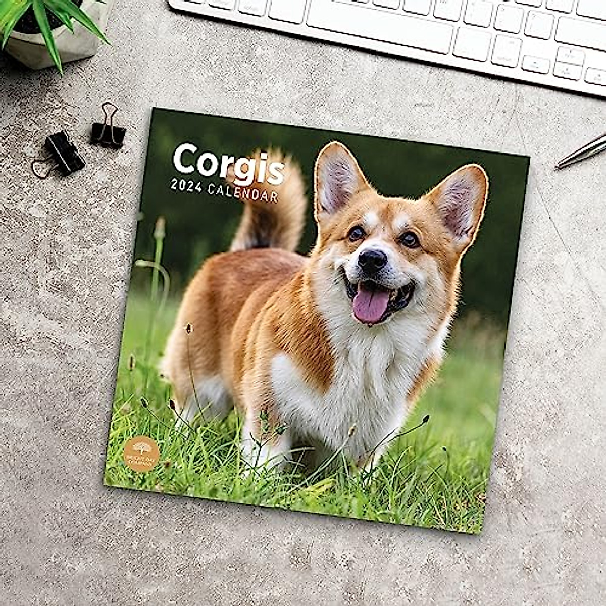 2024 Corgis Monthly Wall Calendar by Bright Day, 12 x 12 Inch Cute Dog Breed Gift