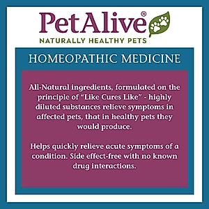 PetAlive Oral-Assist - Natural Homeopathic Formula Supports Oral and Dental Health in Dogs and Cats - Supports Healthy Teeth and Gums in Pets - 59 mL