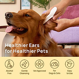 HICC PET Ear Finger Wipes for Dogs & Cats - Gently Remove Ear Wax, Debris - Sooths & Deodorizes - Relieve Ear Itching & Inflammation, All Natural Ingredients, Fragrance Free - 50 Count