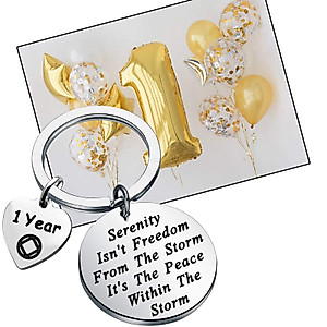 FEELMEM NA Recovery Gift 1 Year 18 Months 2 Years 3 Years NA Sobriety Anniversary Keychain NA Recovery Serenity Prayer Sobriety Gift (1 years)