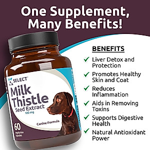 K9 Select Milk Thistle for Dogs, 100mg - 60 Vegetable Capsules - Canine Liver Health Milk Thistle Supplement - Liver Supplement - Liver Support Supplement - Milk Thistle Herbal Supplements