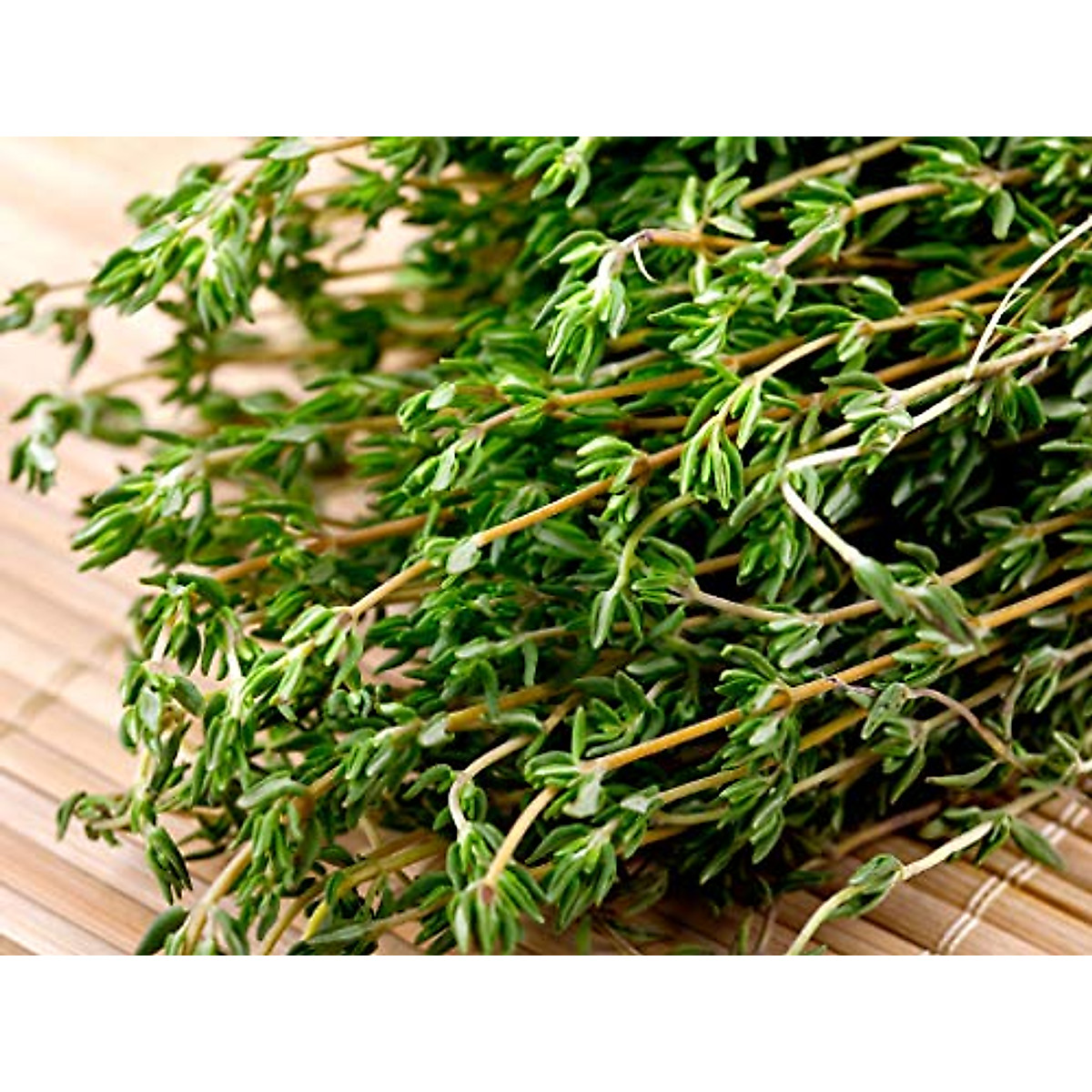 Gaea's Blessing Seeds - Thyme Seeds - Non-GMO - with Easy to Follow Planting Instructions - Herb Thymus Vulgaris 350mg 90% Germination