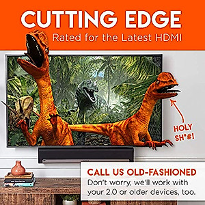 ECHOGEAR Short 2ft 4k HDMI Cable - Supports HDR, 4K & 120fps Refresh Rate On PS5, Xbox Series X, & Other Devices - 48gbps Bandwidth & Gold Plated Connections