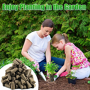 Haovegfloer 30 PCS Grow Sponges, Seed Starter Pods Replacement Root Growth Sponges, Seed Pods Kit for Partly QYO, LYKO, Idoo Hydroponic Garden System(Square