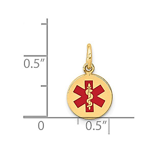 Solid 14k Yellow Gold Enamel RN Registered Nurse Caduceus Symbol Medical Jewelry Emergency Alert Pendant Charm - 12mm x 9mm