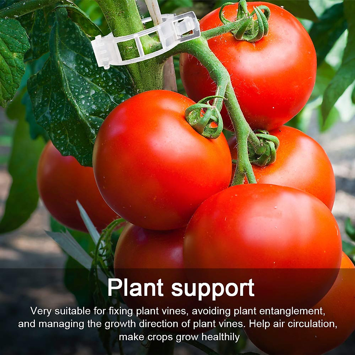 200PCS Plant Support Garden Clips, Vegetable Tomato Supports Trellis Clip Tape for Climbing Crop Vine Twine String Cage Ties Stakes, Grow Strawberry Rose Grape Cucumber Orchid Pea Pothos Melon Tree