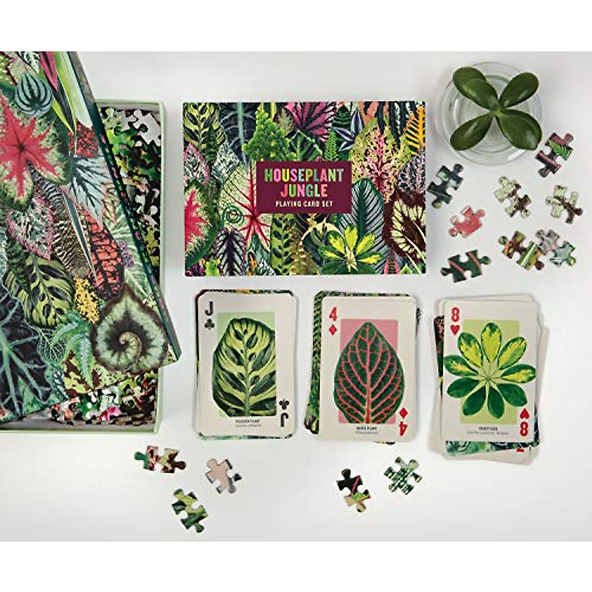 Galison Houseplant Jungle 1000 Piece Jigsaw Puzzle for Adults – Plant Jigsaw Puzzle with Mix of Succulents & Other Household Plants – Fun Indoor Activity, Multicolor