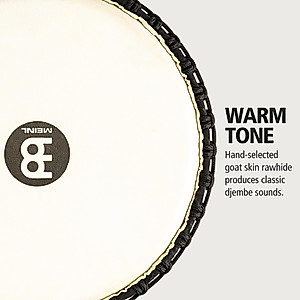 Meinl Percussion ADJ2-L+BAG African Style Rope Tuned 12-Inch Wood Djembe with Bag, Brown