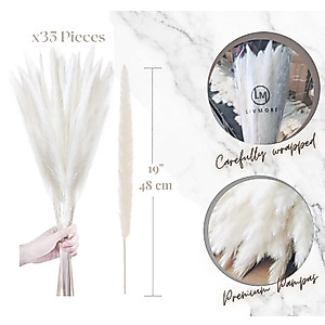 Livmore White Pampas Grass 35 Pcs, 19 inches/48cm Fluffy Natural Dried for Boho Wedding Centerpieces, Photography and Home Decor, Flower Arrangement Vase Fillers ,Kitchen and Garden Decorations
