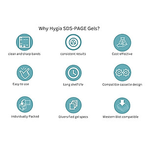 Pre-Casted Protein Gel (HG-Page™) (4-20%, 12 Well)