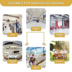 Tongmo 10x10 FT Heavy Duty Backdrop Stand, Adjustable& Stable Pipe and Drape Stand, Gold Metal Backdrop Stand for Parties Wedding Birthday Photography Photo Booth Background