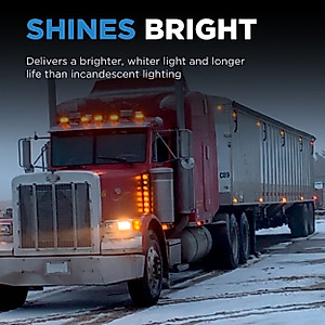 Wagner Lighting H5006 Standard Multi-Purpose Light Bulb Box of 1