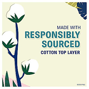 Always Pure Ultra Thin Regular Pads with Wings, 72 Count, Unscented (3 Packs of 24 - 72 Count Total)