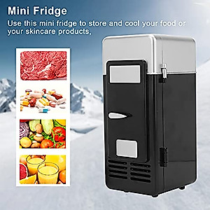 Wene Mini Fridge, Energy Saving Compact Mini Cooler Fridge for Storing Food for Storing Skin Care Products for