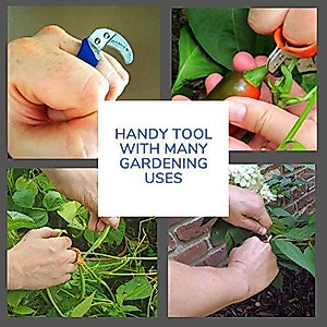 Razor's Edge Safety Knife - Utility Ring Knife for Finger with Sharp, Straight Blade - Ring Size 10 - Pointed Tip - Dozen - By Handy Twine Knife