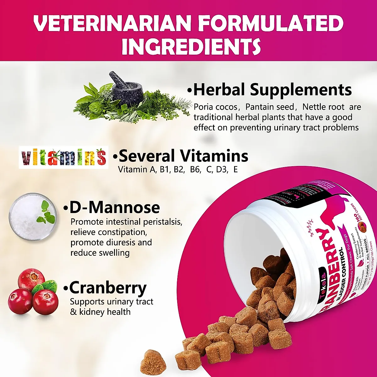 Cranberry Bladder Health for Dogs - Dog Antioxidant- 160 Cranberry Soft Chew Supplements for a Healthy Urinary Tract and Bladder Control – Made with Cranberry & D-Mannose & Vitamins (Chicken Flavor)