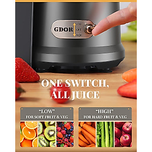 GDOR 1200W Juicer with Larger 3.2" Feed Chute, Titanium Enhanced Cutting System, Centrifugal Juice Extractor Maker with Heavy Duty Full Copper Motor, Dual Speeds, BPA-Free, Gun Grey