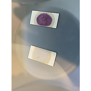 Semen Residue Detection Test Kit