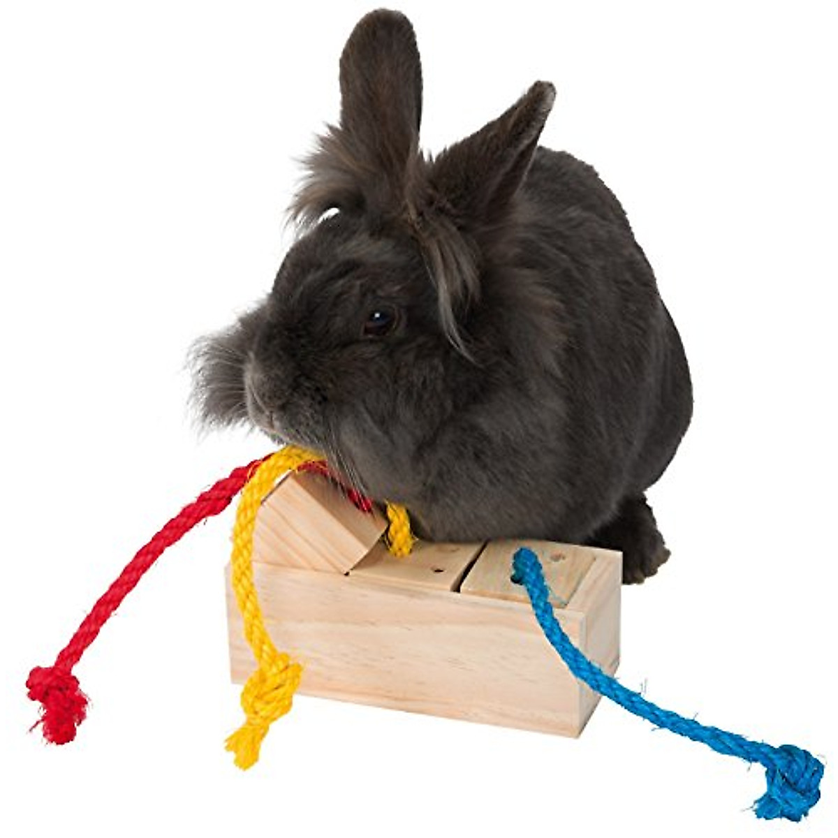 TRIXIE 62815 Small Animal Snack Cube Activity Toy, Natural