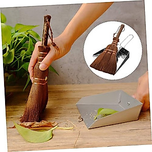 Healeved 1 Set Pet Cleaning Tool Desktop Waste Cleaning Tool Litter Scooper and Duster Desktop Dust Cleaner Outdoor Dustpan Mini Cleaning Broom Pet Cage Cleaning Tool Stainless Steel Brown