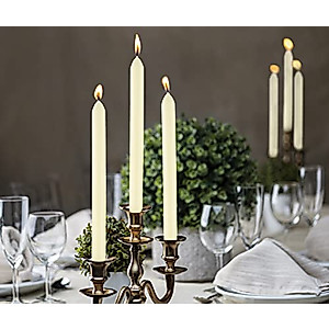 BOLSIUS 10 Count Household Ivory Dinner Candles - 9 Inches - Premium European Quality - Approx. 8 Hours Burn Time - Unscented Dripless and Smokeless, Restaurant, Wedding, Spa, and Party Candlesticks