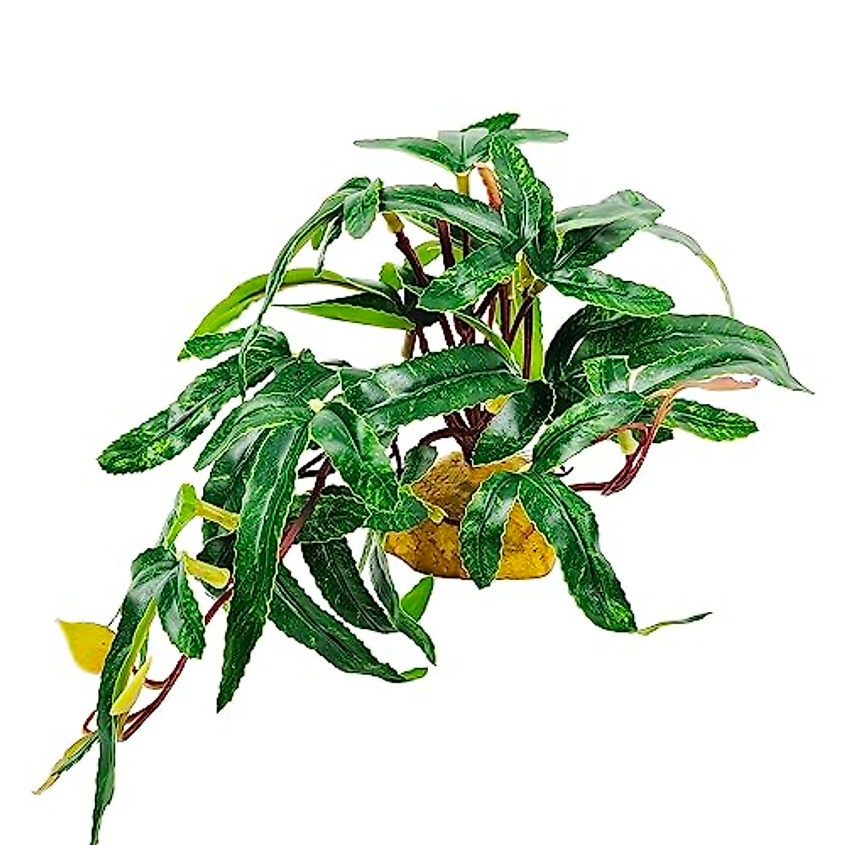 Woyrise Reptile Artificial Plants Terrarium Decor 0002-2, Amphibian Habitat Hideout Decor fit Bearded Dragon Crested Gecko Leopard Lizard Chameleon Ball Python Snake Frog