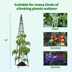 FOLLOOK Garden Trellis for Climbing Plants Outdoor, 64" Tall Plant Trellis with 4-Tier Adjustable Stake Arms - Outdoor Indoor Potted Plant Support for Vine, Vegetable, Obelisk Trellis, Black, 2 Pack