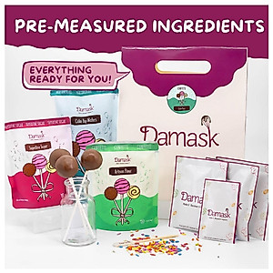 Gluten-Free Raspberry Cake Pop Kit - White Chocolate Coating