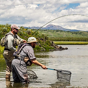 Collapsible Telescopic Pole Fishing Net - Folding Extend Rubber Coated Freshwater Saltwater Landing Net for Trout Bass Steelhead Salmon Kayak (SD-139SS(80CM))