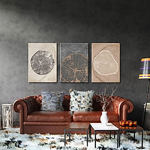 AKWISH 3Pcs Framed Tree Ring Canvas Wall Art Print Pastel Gray Wood Spirals Picture Nature Abstract Drawings Poster Modern Minimalist Wall Decor for Living Room Bedroom Home Office 16"x24"x3