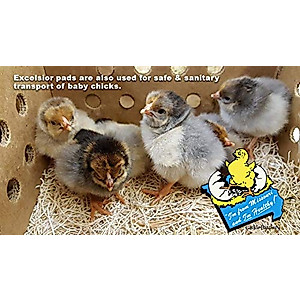 Cackle Hatchery Laying Hen Nest Box Pads - 13" x 13" (6 Pack)