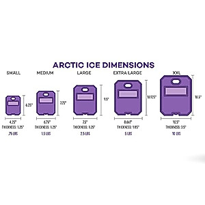 ARCTIC ICE Tundra Series, Long Lasting Reusable Ice Pack, Purple, Medium, 1.5 lbs