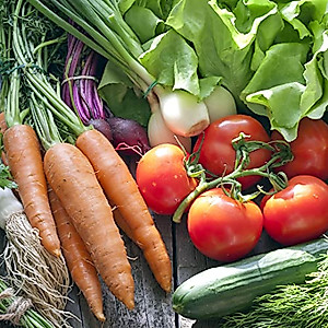 Harvest Hero Enhanced Perlite Soil Mix with Diatomaceous Earth & Essential Nutrients – Promotes Robust & Vigorous Growth for Indoor & Outdoor Plants, Transplanting, Garden Beds & Seedlings (16 QT)