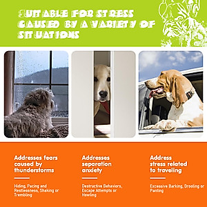 Hemp Calming Chews for Dogs Anxiety Separation Anxiety Relief for Dogs Calming Treats Pet Calming Care Chews for Dogs Stress and Anti Anxiety Relief, Beef, 120 Count