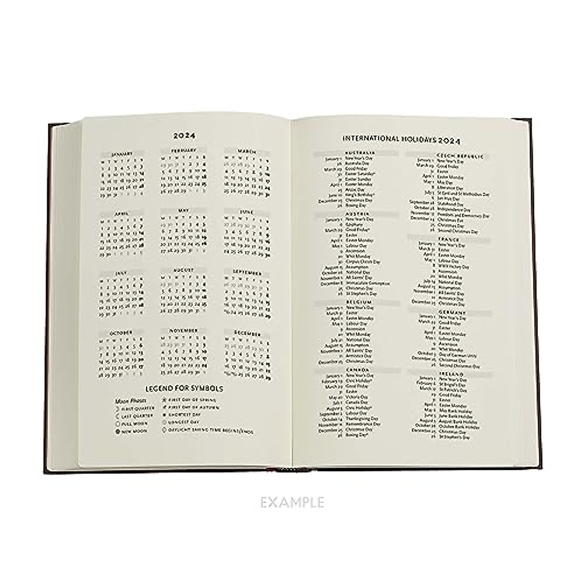 Firebird (Birds of Happiness) Maxi 12-month Dayplanner 2024