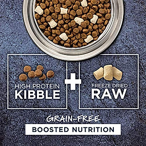Instinct Raw Boost Grain Free Recipe with Real Salmon Natural Dry Dog Food by Nature's Variety, 4 lb. Bag