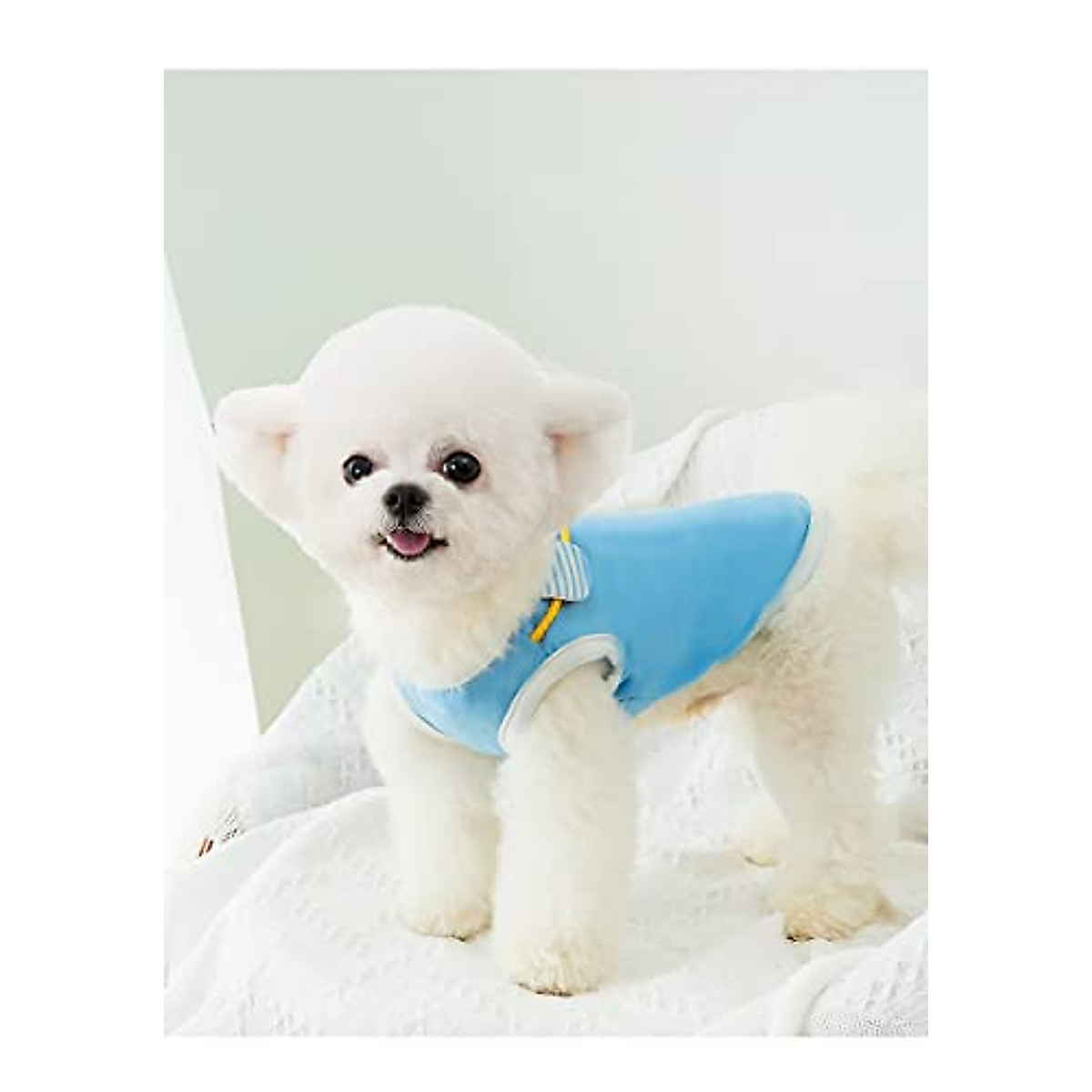 YiQ RiC Dog Shirt for Small Dogs Fashion Pet Dog Clothes Cat Outfit Puppy Sun Shirt Pet Apparel Birthday Christmas Pineapple Shoulder Bag Adorable Cool Breathable (Small)