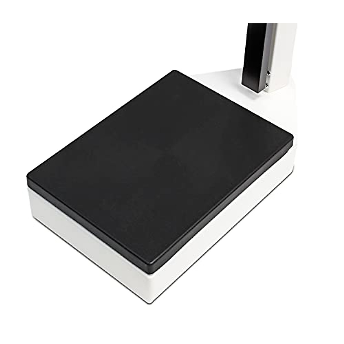 DETECTO 339 Mechanical Physician Beam Scale with Height Rod, Dual Reading KG/LB