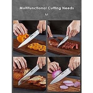Aiheal 17PCS Stainless Steel Knife Set with Clear Knife Block, No Rust and Super Sharp Kitchen Knife Set in One Piece Design with Knife Sharpener for Kitchen, Steak Knives Set