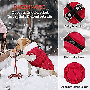 Queenmore Warm Dog Winter Jacket, Fleece Lining Dog Cold Weather Coats, Windproof Turtleneck Dog Vest with Neckline D-Ring, Snowproof Dog Jacket for Small Medium Large Dogs