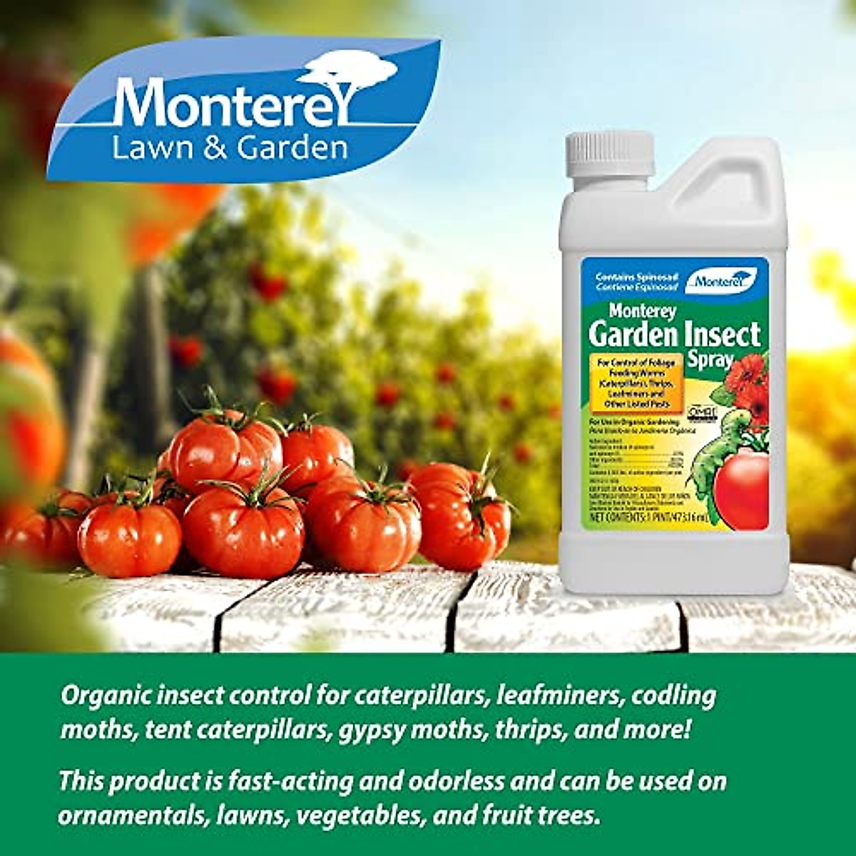 Monterey LG6150 Garden Insect Spray, Insecticide & Pesticide with Spinosad Concentrate, 16 oz
