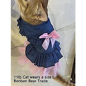 Harikaji Pet Clothes, Sweet Bowknot Small Dog Skirt Girl Tutu Clothing Puppy Cat Sleeveless Apparel Teddy Clothes Wedding Dresses for Spring and Summer (XL)