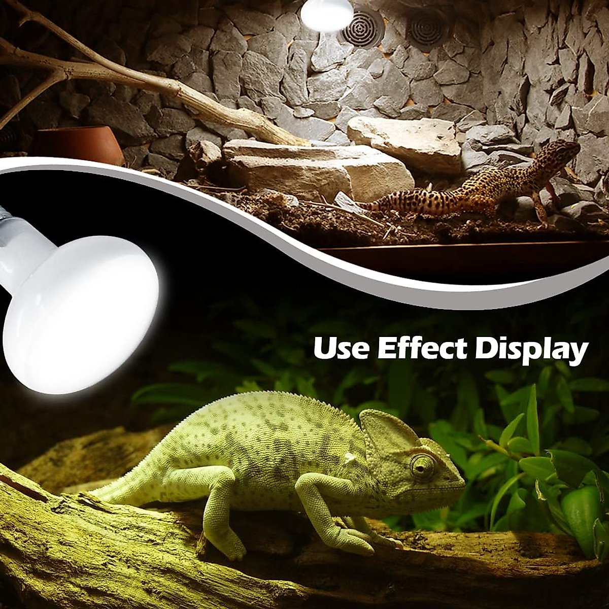 MCLANZOO Reptile Heat Lamp 75W 2 PACK,UVA Basking Spot Heat Lamp Bulbs,Natural Daylight Heating Light for Bearded Dragon, Turtle,Lizard,Chicken Brooder,Reptile with Digital Temperature Thermometer