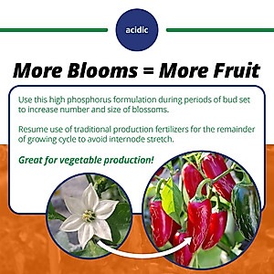 Jack's Classic 10-30-20 Blossom Booster Water-Soluble Fertilizer with Micronutrients for Increasing Color and Quantity of Blooms in Flowering Plants, 4lbs