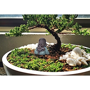 WGFKVAS Buddha Statue, Laughing Ceramic Buda Statue Little Monk Figurine Cute Baby Buddha for Home Office Car Decors Gift Crafts and Arts (Green)