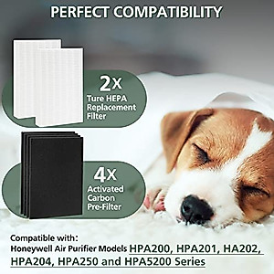 HPA200 HEPA Filter Replacement Compatible with Honeywell HPA200 HRF-ARVP200 Series Air Purifier HPA200, HPA201, HA202, HPA204, HPA250, HPA5200, 2 HEPA R and 4 Precut Carbon Pre-Filters A