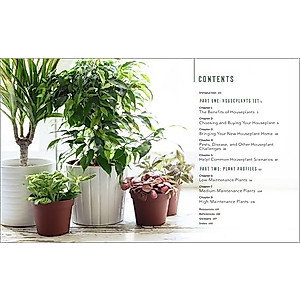 Houseplants for Beginners: A Practical Guide to Choosing, Growing, and Helping Your Plants Thrive